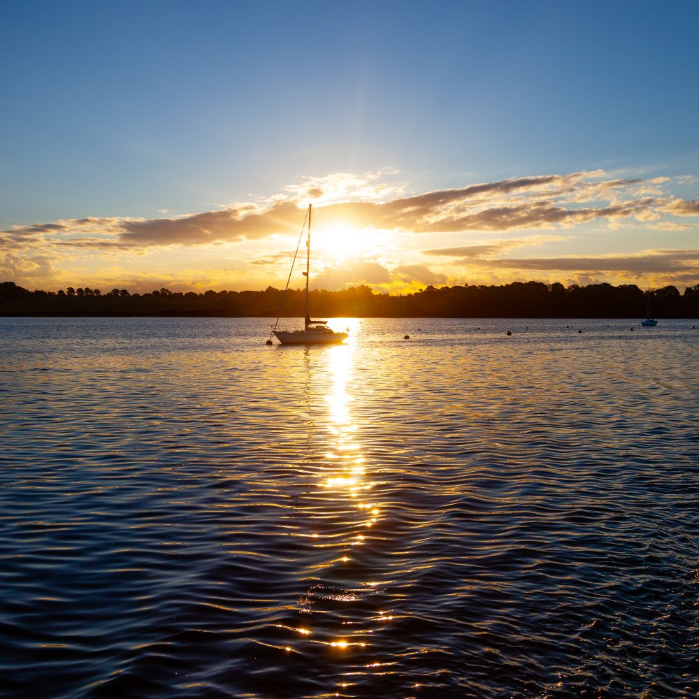 Gallery - Orwell Lady River Trips