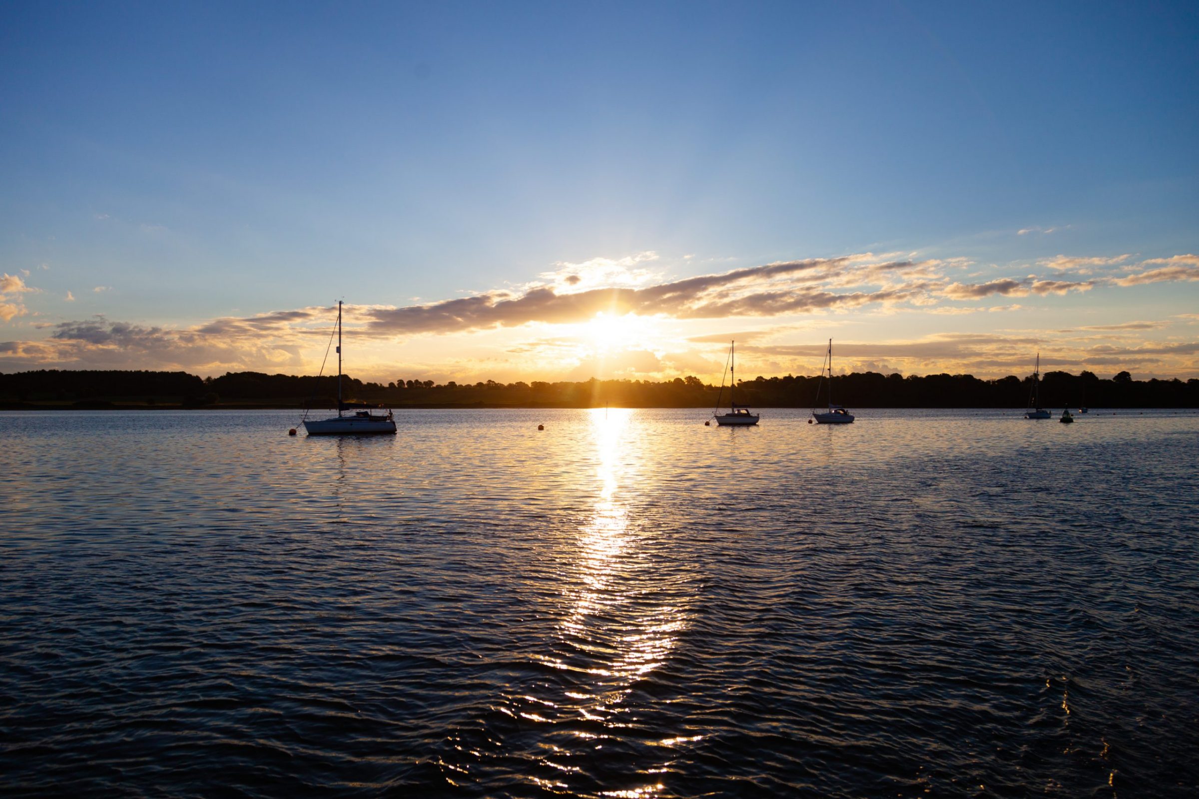 Orwell Lady River Trips