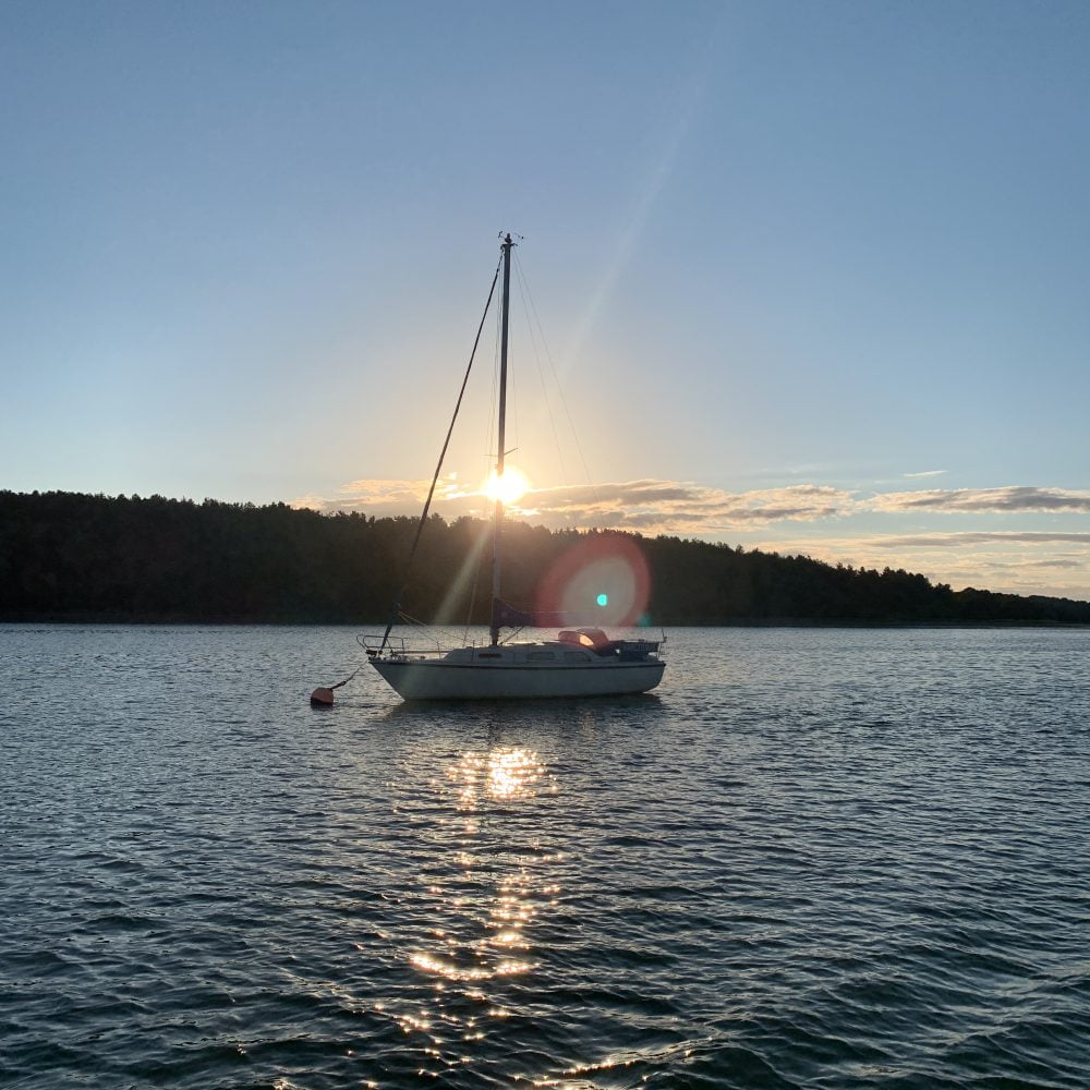 Gallery - Orwell Lady River Trips