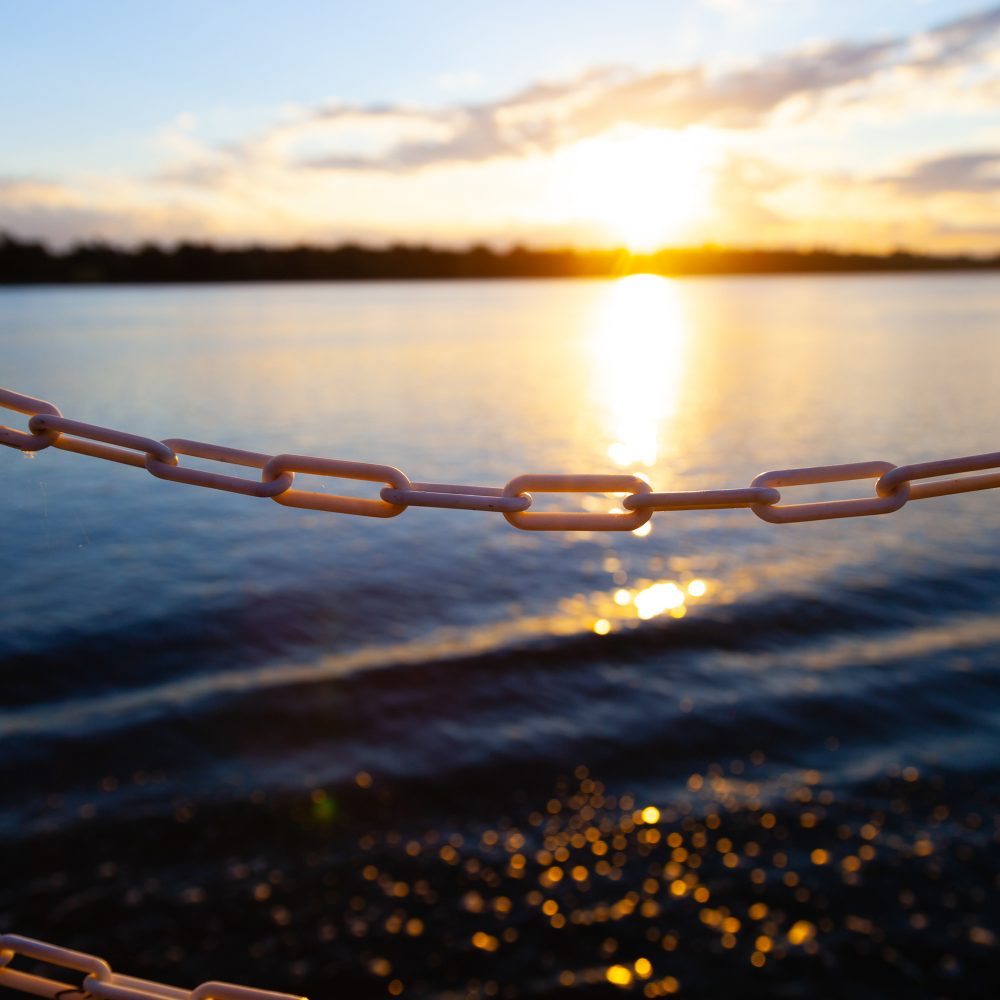 Gallery - Orwell Lady River Trips