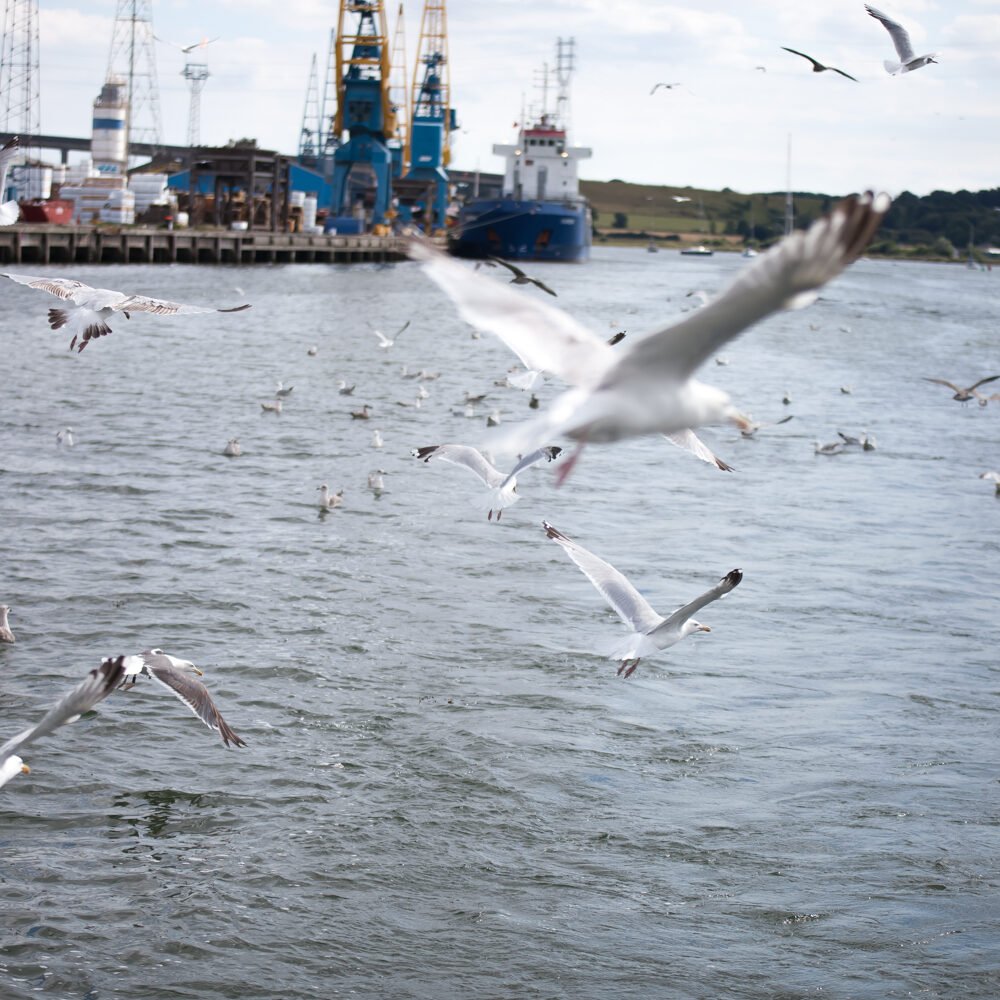 Gallery - Orwell Lady River Trips