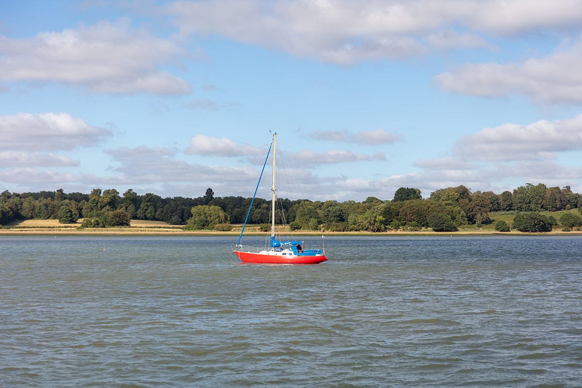 Four things to see on the river - Orwell Lady River Trips