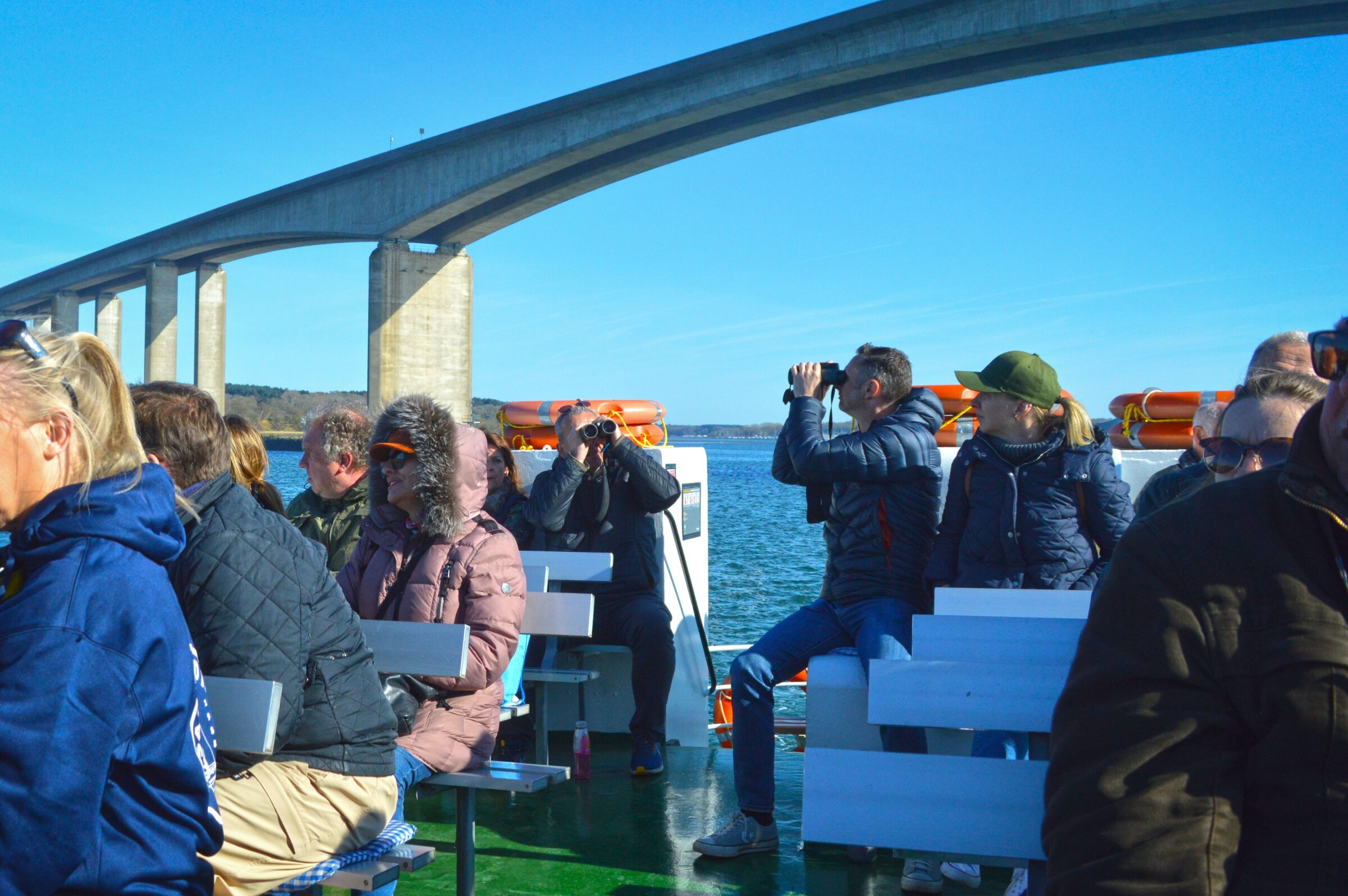 Suffolk Wildlife Trust on the river - Orwell Lady River Trips